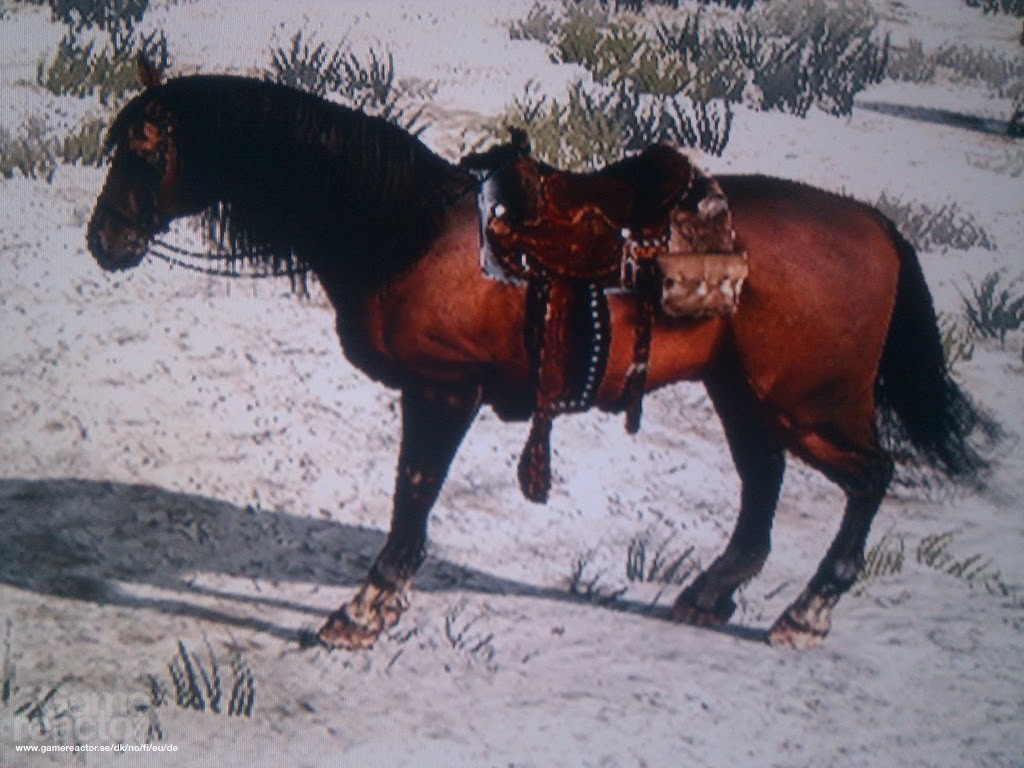 Red Dead Redemption-guide