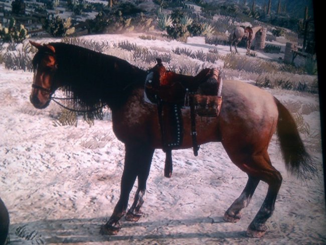 Red Dead Redemption-guide