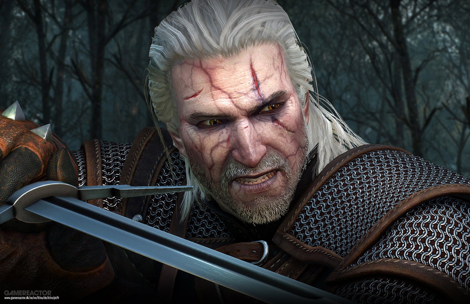CD Projekt Red har ingen planer om The Witcher 4 - The Witcher 3: Wild ...