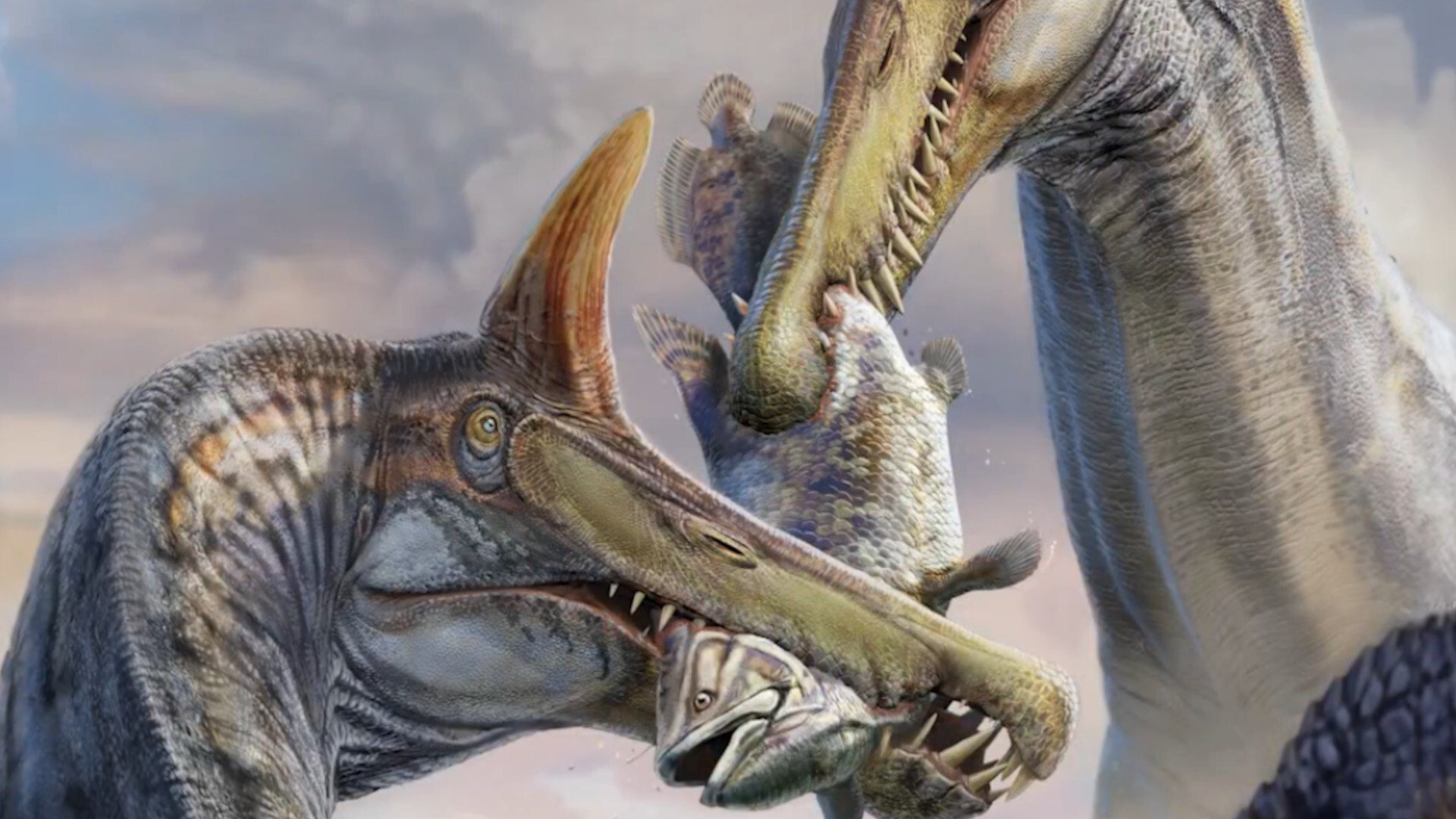 Den første nye Spinosaurus-art siden 1915, navngivet i ny rapport ...
