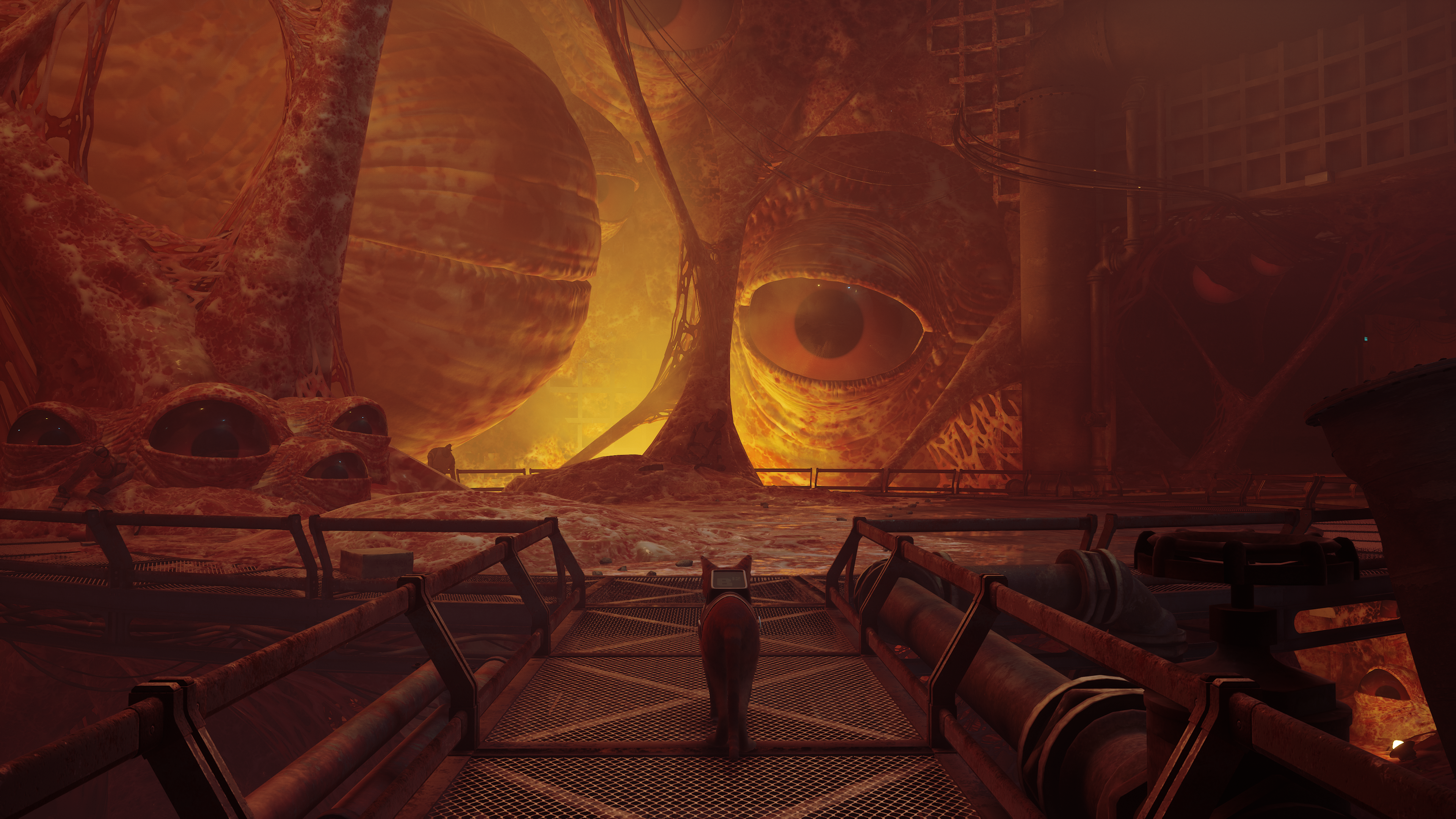 Stray Anmeldelse - Gamereactor