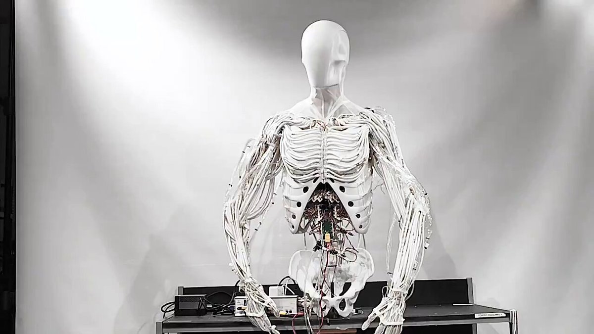 Clone introducerer android med arbejdende kunstige muskler - - Gamereactor