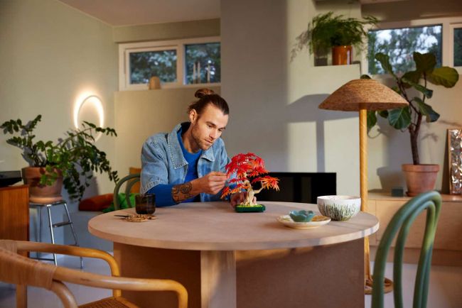Lego udvider sortimentet af botaniske stoffer med kunstværker af rødt ...