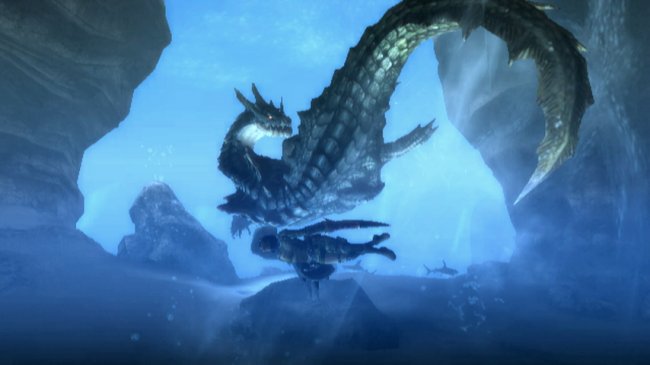 Monster Hunter Tri Anmeldelse - Gamereactor
