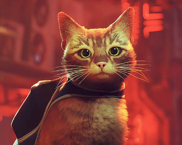 Stray annonceret til Xbox